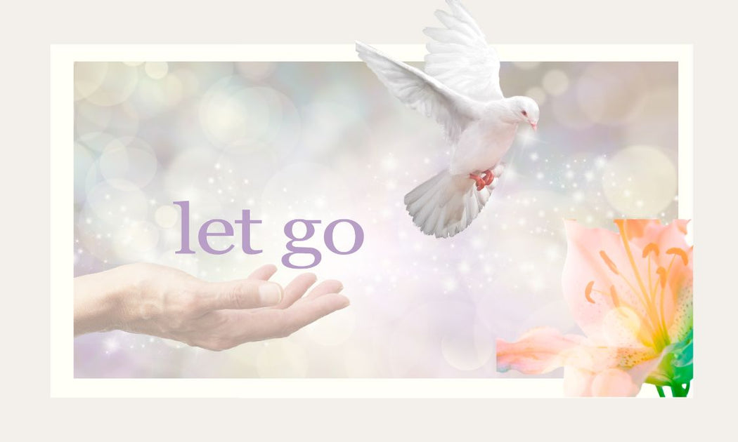 The Birds & Lilies—A Lesson in Letting Go – hints for prayerful... pause